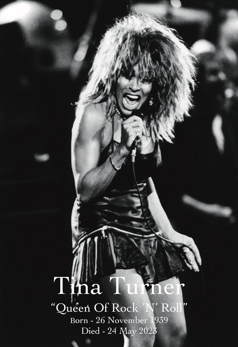 Vintage Music Art Poster Tina Turner A4 A3 A2 A1 No 1020 – The Vintage ...